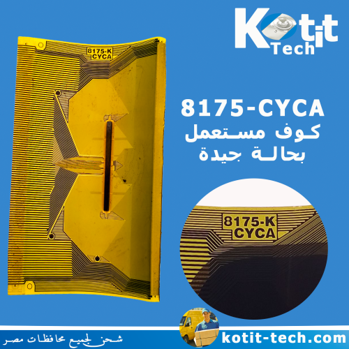 8175-CYCA